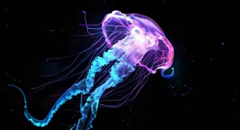 Explore 13 of the Quietest Animals in the World
